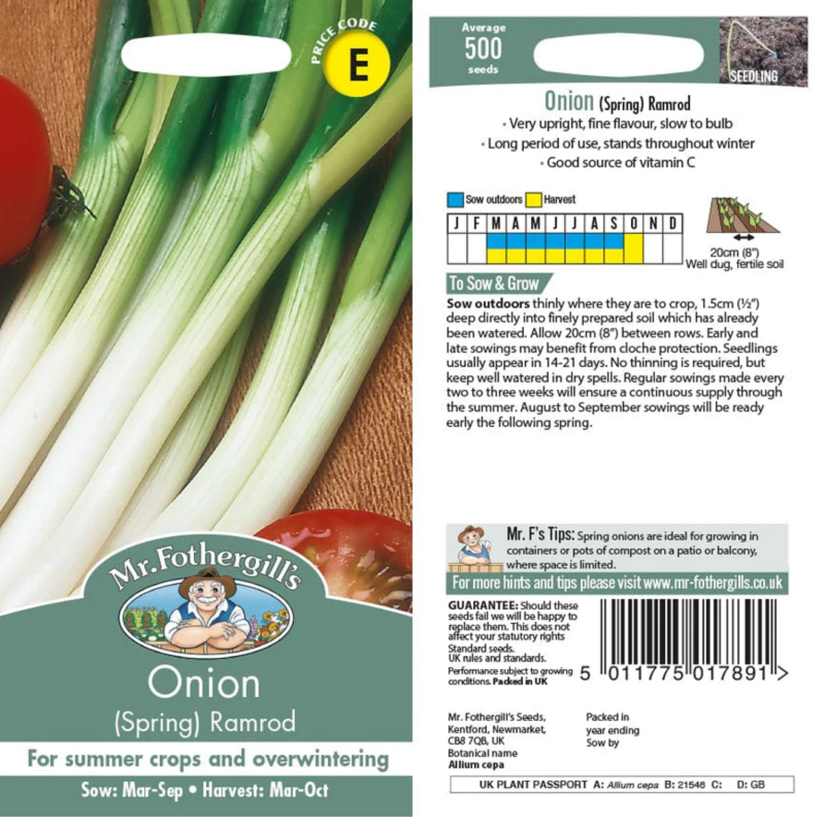 Mr Fothergill's Onion (Spring) Ramrod – Old Railway Line Garden Centre