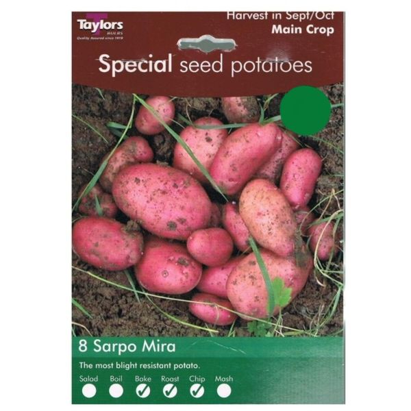 Taylors 8 Sapro Mira Special Main Crop Seed Potatoes – Old Railway Line ...