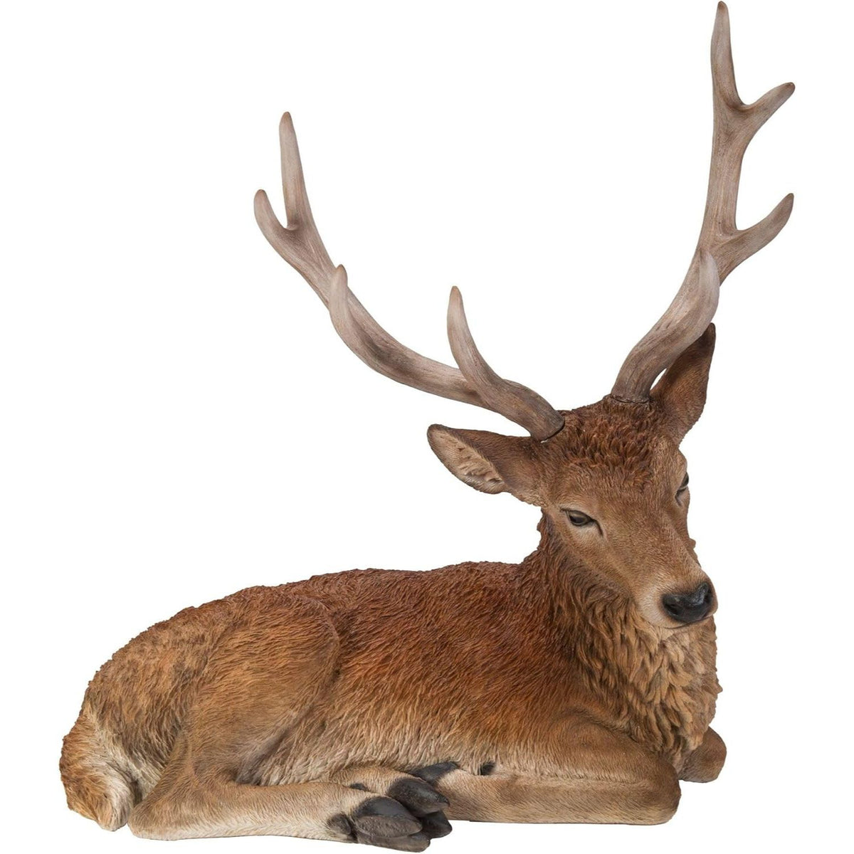 Vivid Arts 101cm Real Life Laying Stag – Old Railway Line Garden Centre