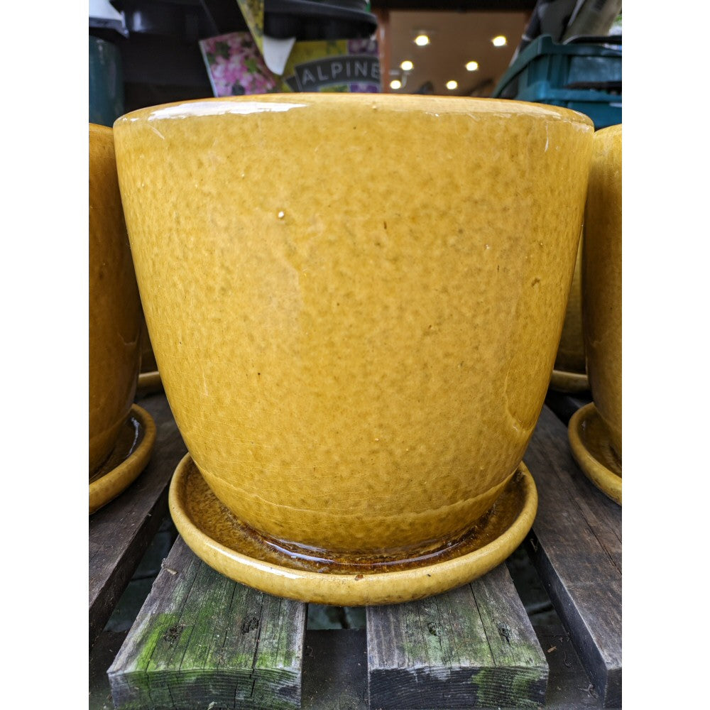 Ivyline 22cm Mustard Yellow Glaze Pot & Saucer – Old Railway Line ...
