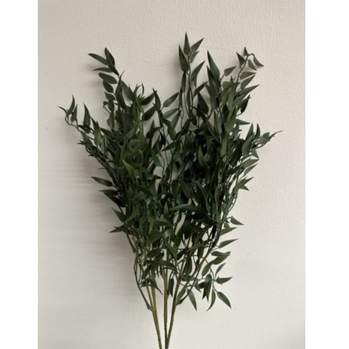 Sincere Floral 50cm Ruscus Bush – Old Railway Line Garden Centre