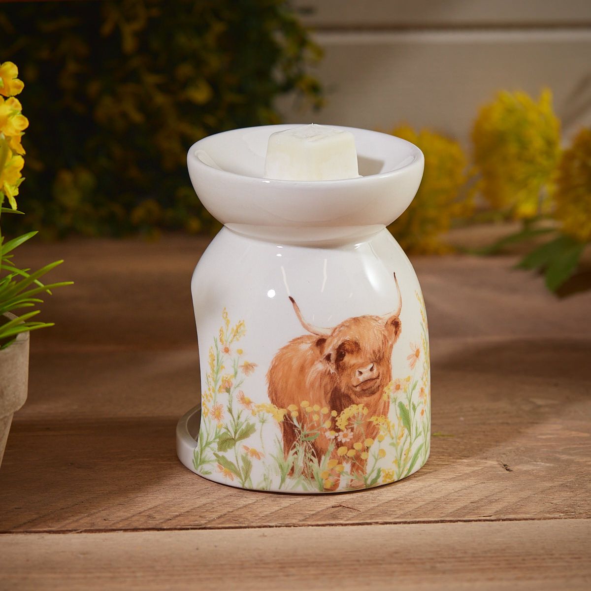Richard Langs Ceramic Highland Cow Wax Melt Burner - 7HL310 – Old ...