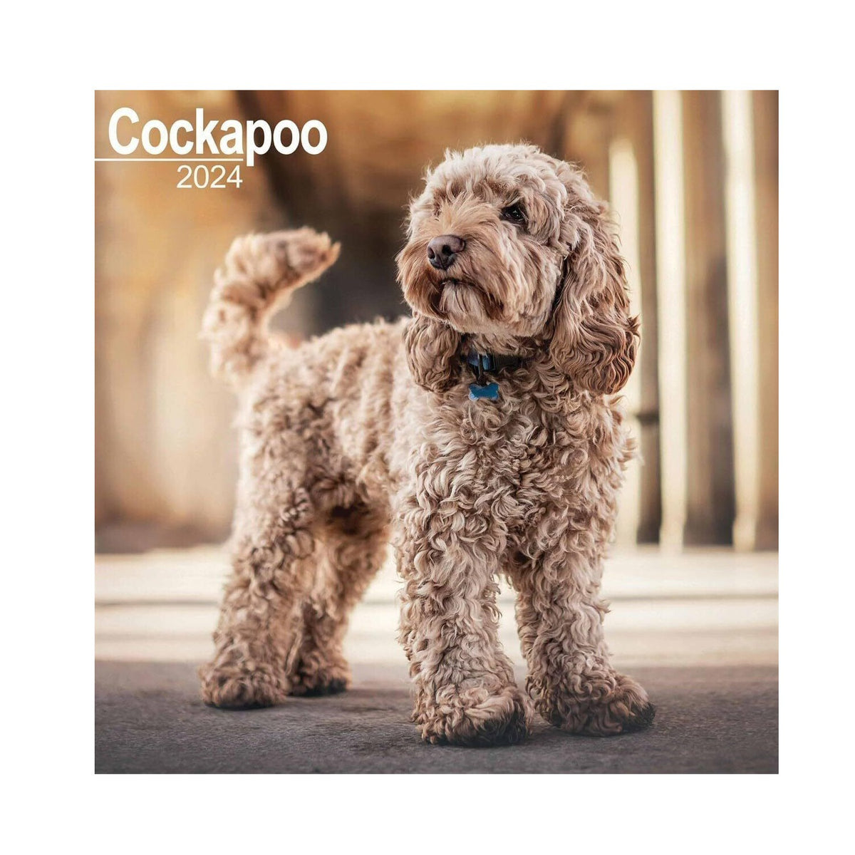 Otter House Calendar 2024 Cockapoo – Old Railway Line Garden Centre