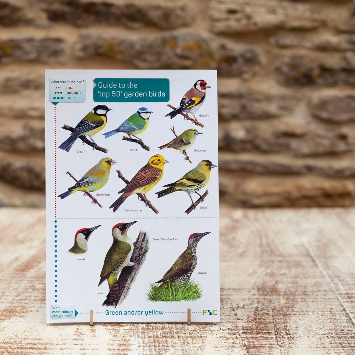 Wildlife World Garden Birds Field Guide – Old Railway Line Garden Centre