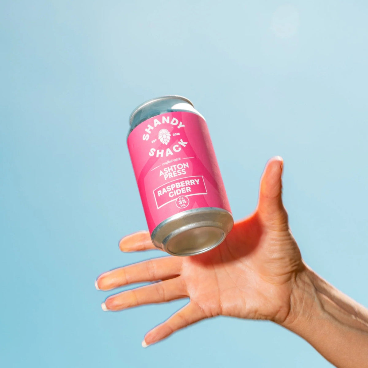 Shandy Shack Raspberry Cider 330ml – Old Railway Line Garden Centre