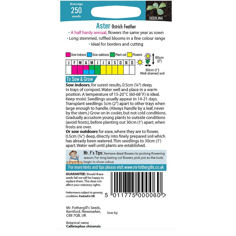 Mr Fothergill's Aster Ostrich Feather Seeds – Old Railway Line Garden ...