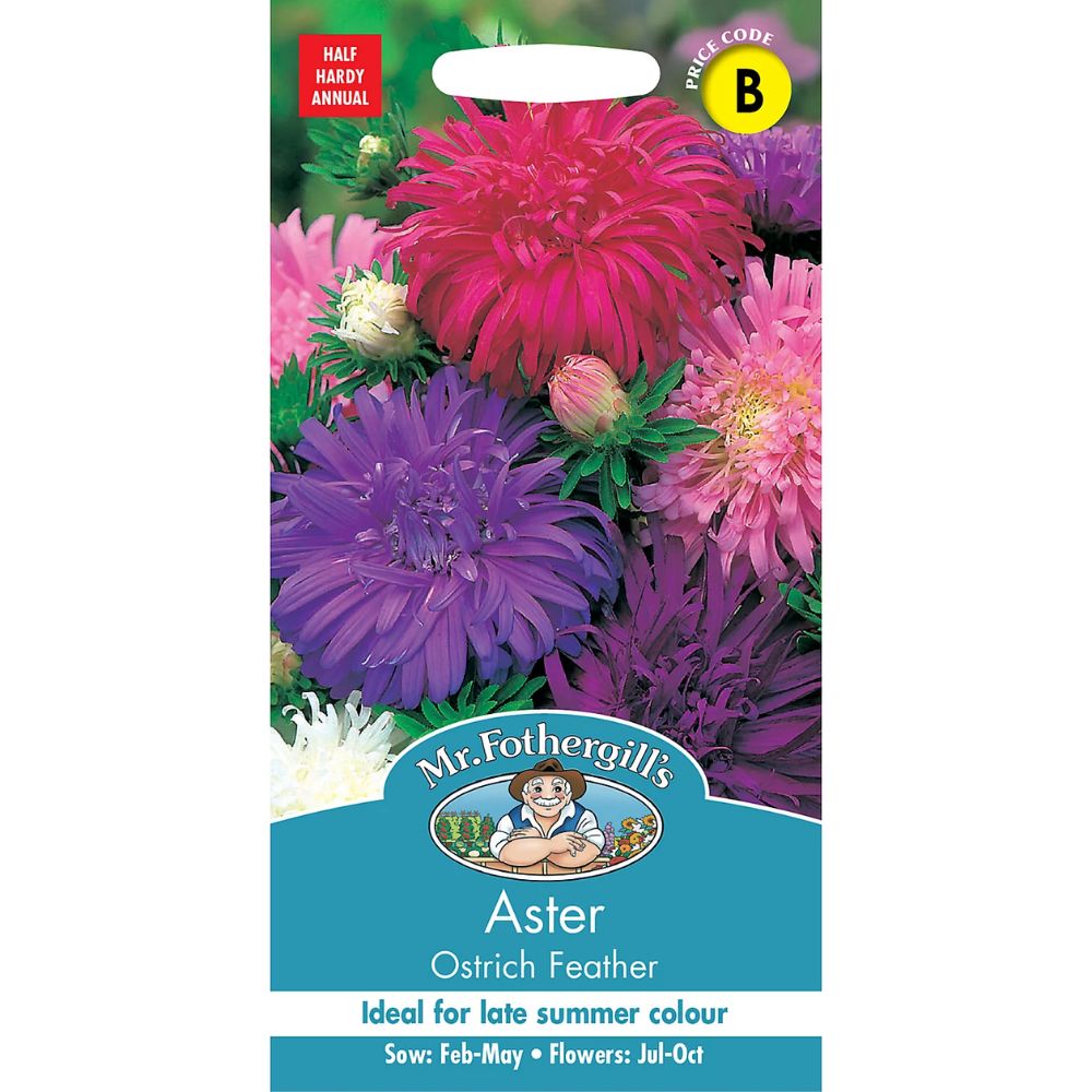 Mr Fothergill's Aster Ostrich Feather Seeds – Old Railway Line Garden ...
