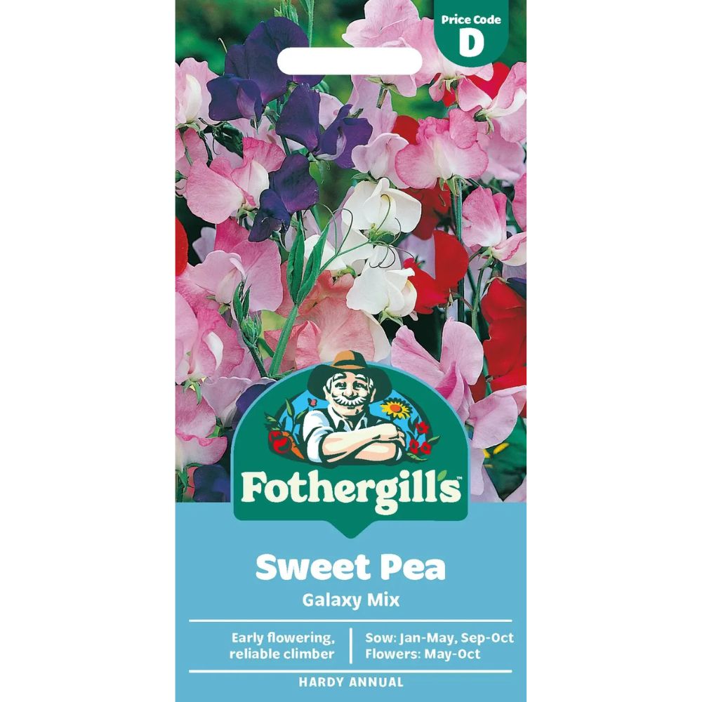 Mr Fothergills Sweet Pea Galaxy Seeds – Old Railway Line Garden Centre
