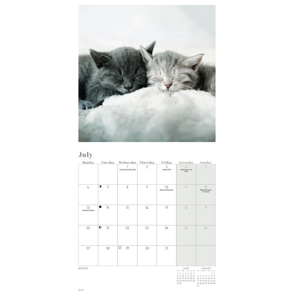 Otter House Cat Naps Mini Calendar 2026 – Old Railway Line Garden Centre