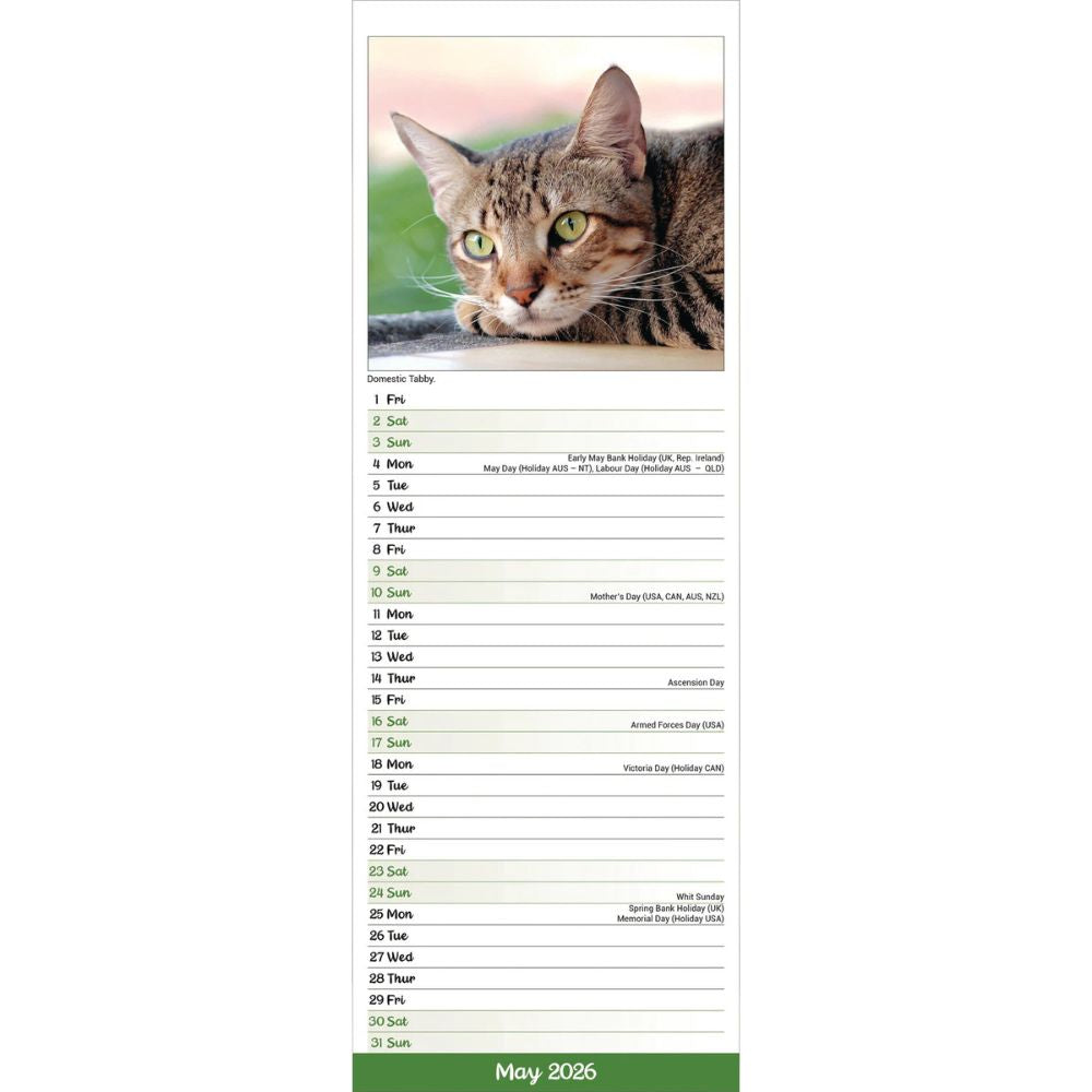 Otter House Cats Slim Calendar 2026 – Old Railway Line Garden Centre