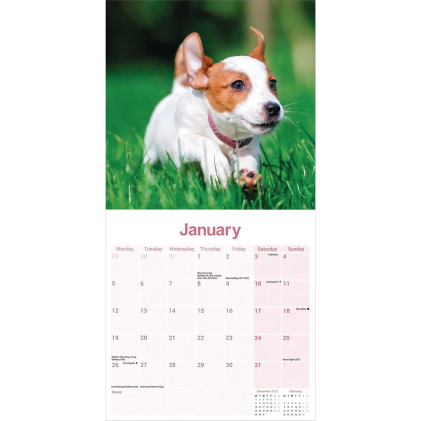 Otter House Jack Russell Wall Calendar 2026 – Old Railway Line Garden ...