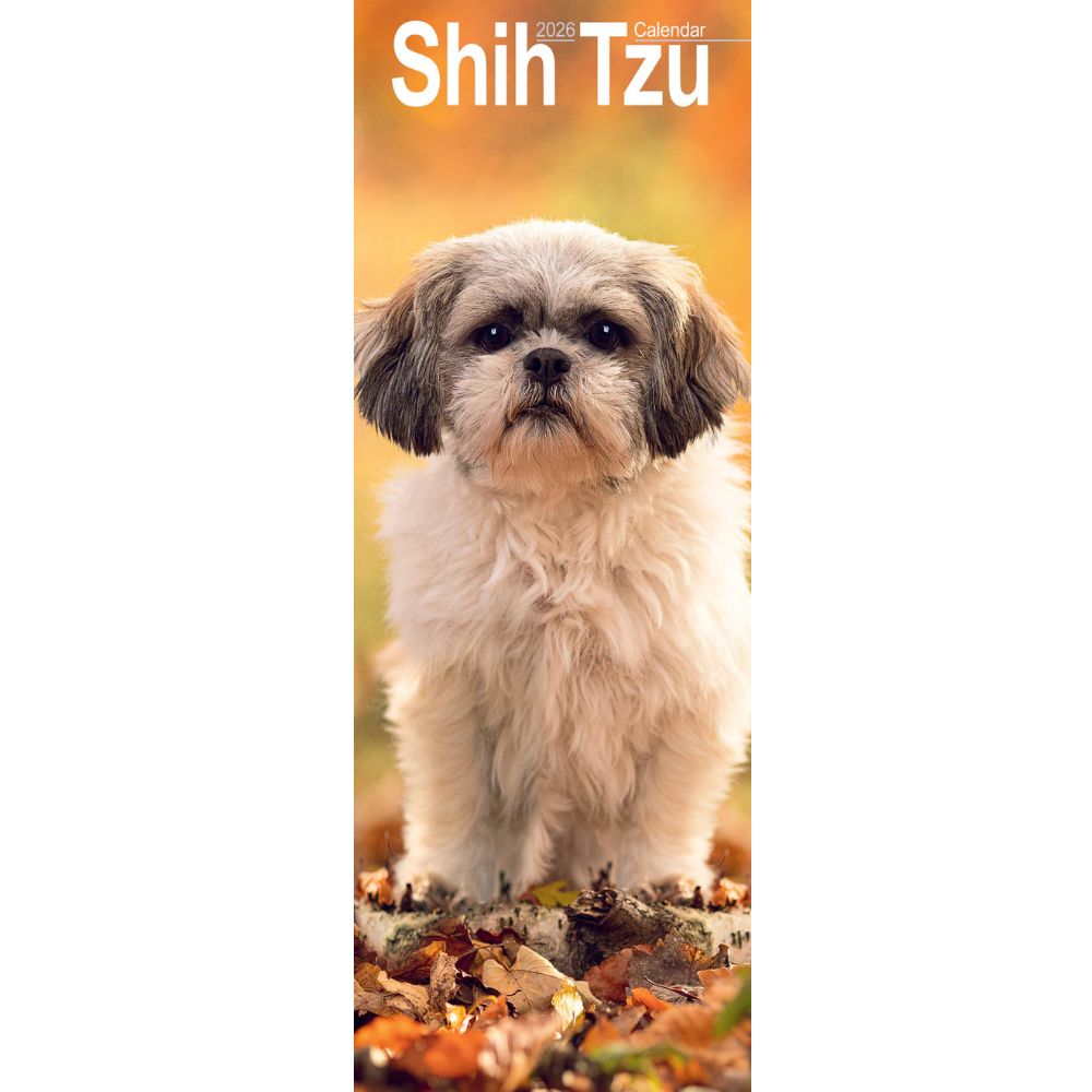 Otter House Shih Tzu Slim Calendar 2026 – Old Railway Line Garden Centre