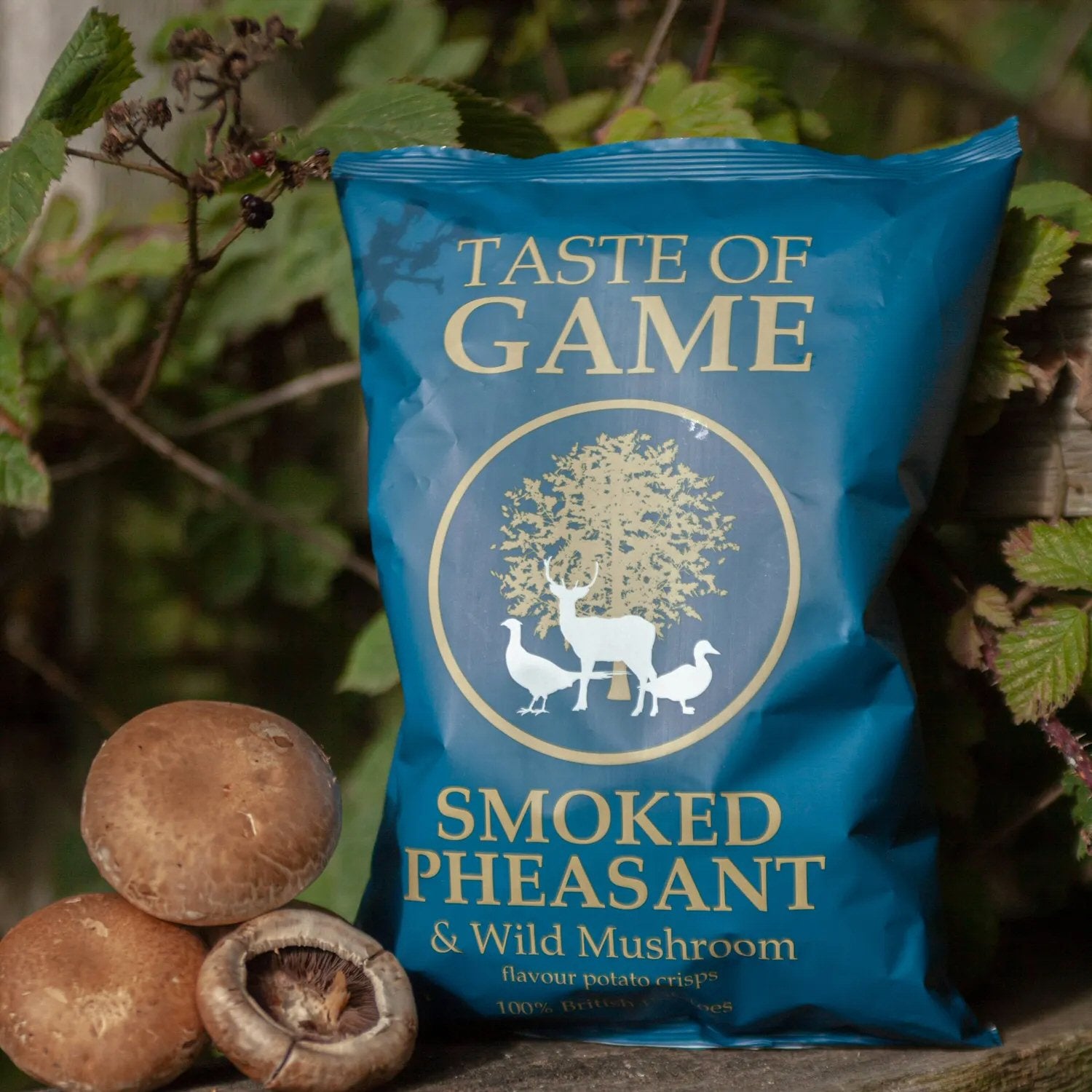 Taste of Game 150g Pheasant & Wild Mushroom Potato Crisps – Old Railway ...