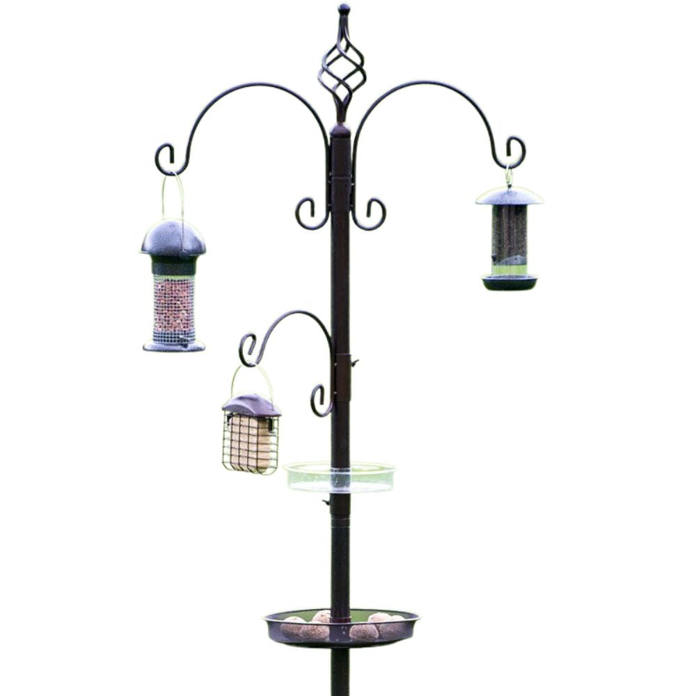 Tom Chambers 250cm Prestige Royale Bird Station – Old Railway Line ...