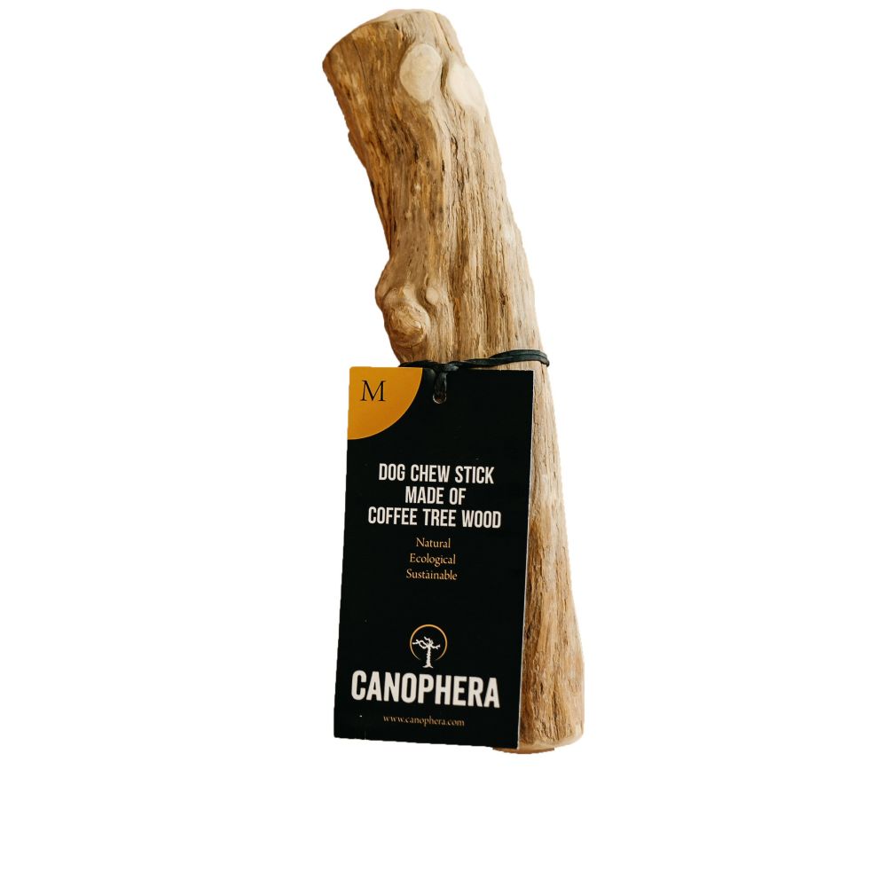 Canophera Medium Coffee Tree Wood Dog Chew – Old Railway Line Garden Centre