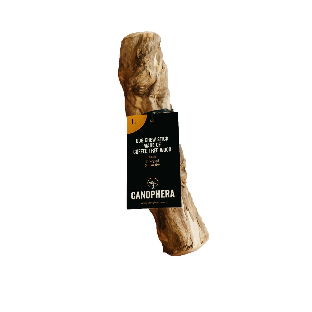 Canophera Large Coffee Tree Wood Dog Chew – Old Railway Line Garden Centre