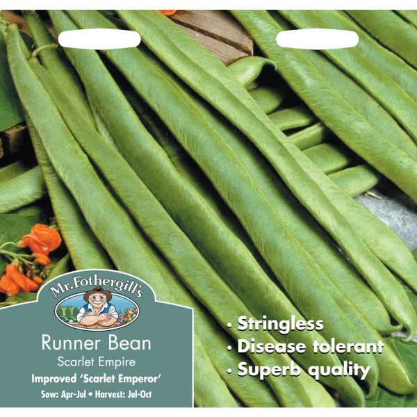 Mr Fothergill's Runner Bean Scarlet Empire (Stringless) Seeds – Old ...