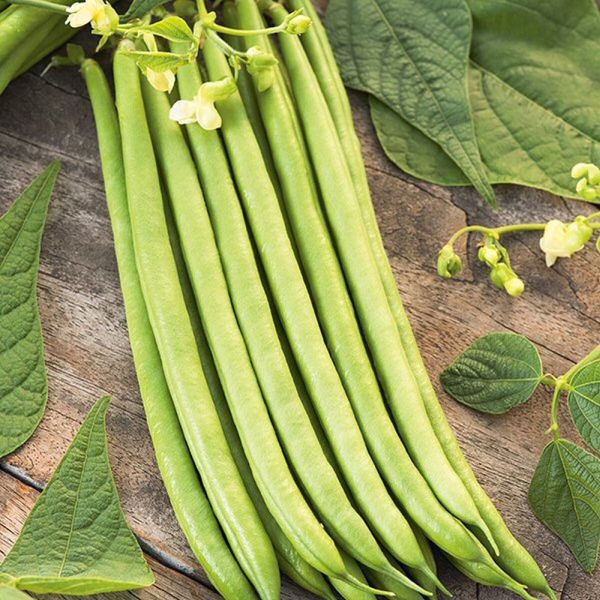 Mr Fothergill's Climbing French Bean Python Seeds – Old Railway Line ...