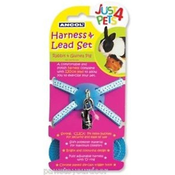 Ancol Blue Rabbit & Guinea Pig Harness & Lead Set – Old Railway Line ...