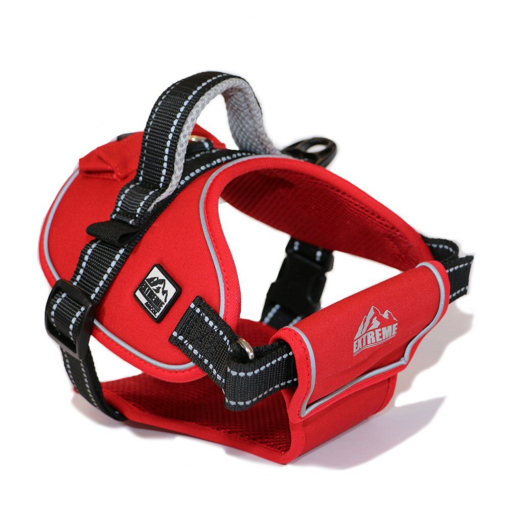 Ancol Extreme Large Red Harness – Old Railway Line Garden Centre