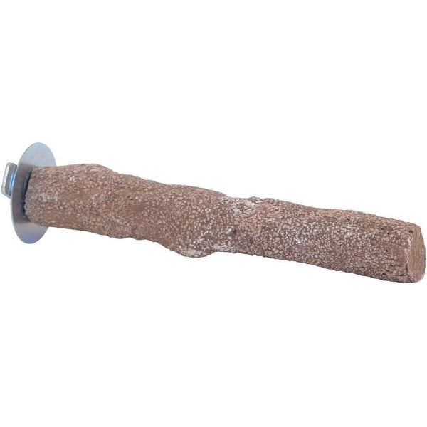 Beaks 30cm Large Seashell Covered Perch – Old Railway Line Garden Centre
