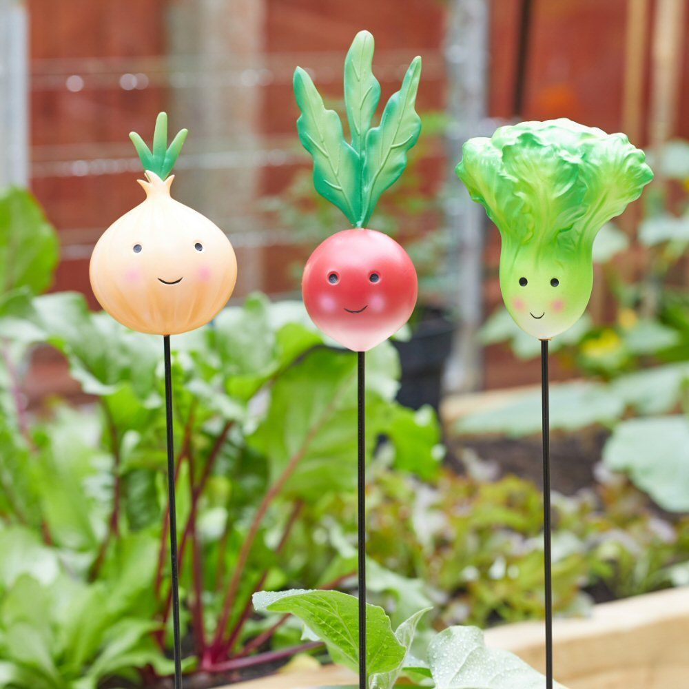 Flamboya 50-75cm Veggie Loony Border Stakes (Choice of 3) – Old Railway ...