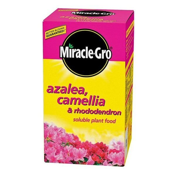 Miracle-Gro 1kg Azalea, Camellia & Rhododendron Soluble Plant Food ...