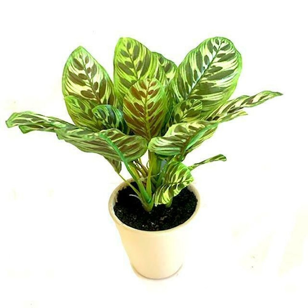 Sincere 26cm Artificial Veined Green Leaf Plant (Choice of 3) – Old ...