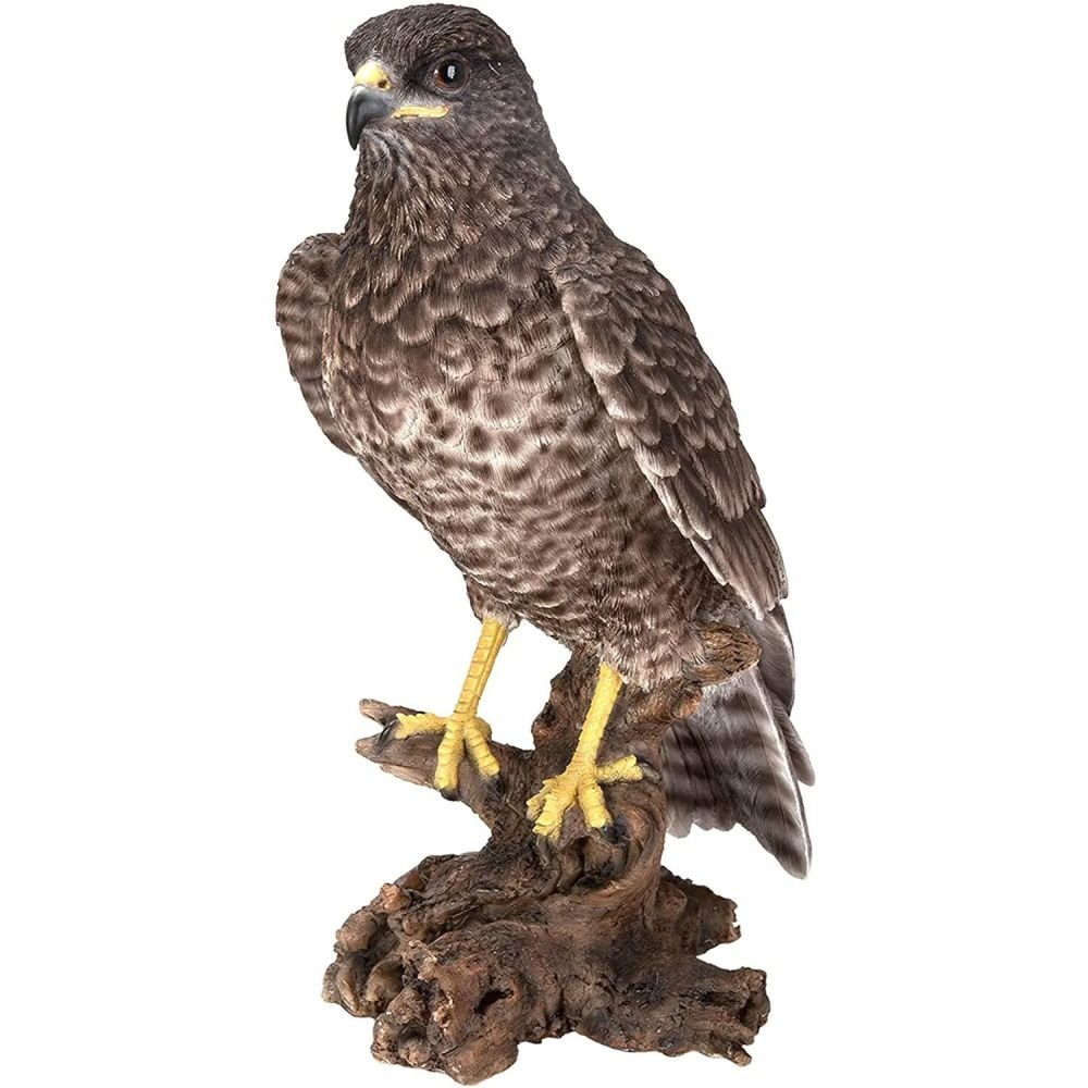 Vivid Arts 31.5cm Common Buzzard - XRL-BUZZ-B – Old Railway Line Garden ...
